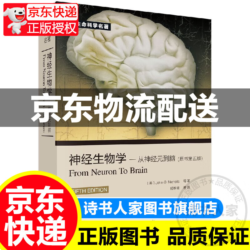 【旗舰店】神经生物学：从神经元到脑（原书第5版）杨雄里等译科学出版社9787030415349