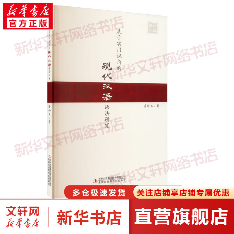 基于实用视角的现代汉语语法研究 图书