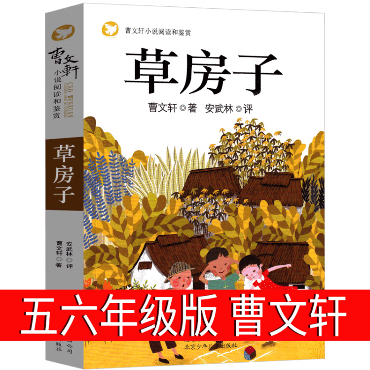 五年级必读的课外阅读经典书目籍全套17册失落的一角窗边的小豆豆荷花镇早市古代诗书贤者故事春秋班长下台草 草房子 曹文轩著