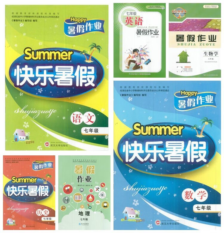 6本！湖北全套暑假作业/ 6本！ 七年级下