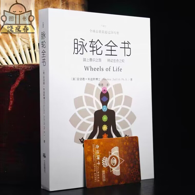 脉轮全书：踏上意识之旅 简体版 胡因梦李欣频 朱迪斯正位瑜 书籍