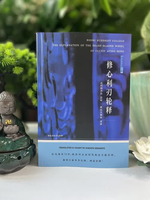 稀有《修心利刃轮》索师评价其无论初学还是久学