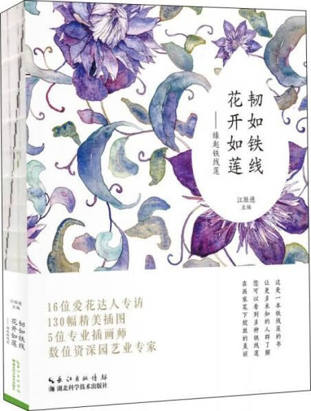 韧如铁线，花开如莲：缘起铁线莲