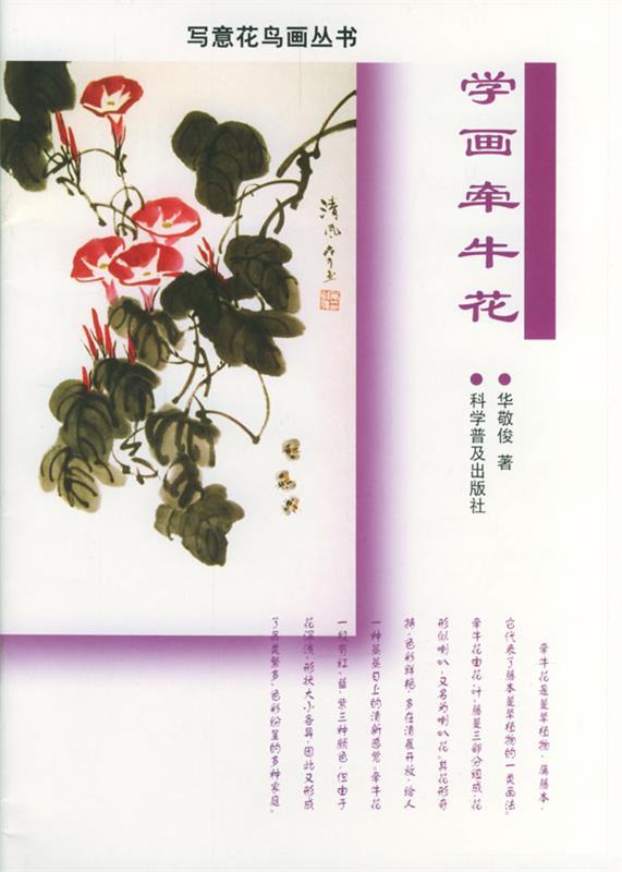 学画牵牛花