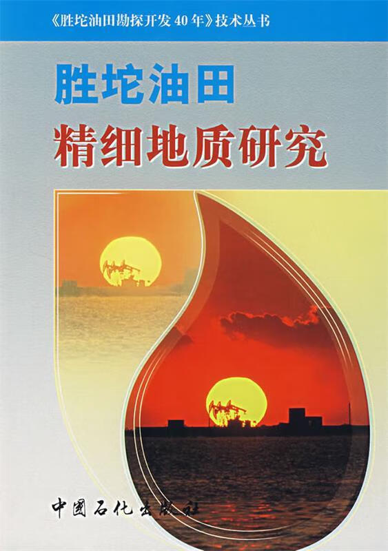 胜坨油田精细地质研究