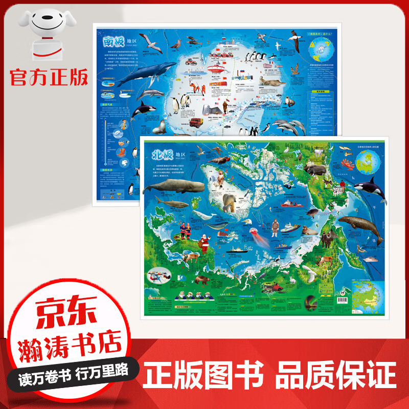 【特价专区】南极地区 北极地区 高清大尺寸小学生家用专用挂画 趣味地图 轻松阅读