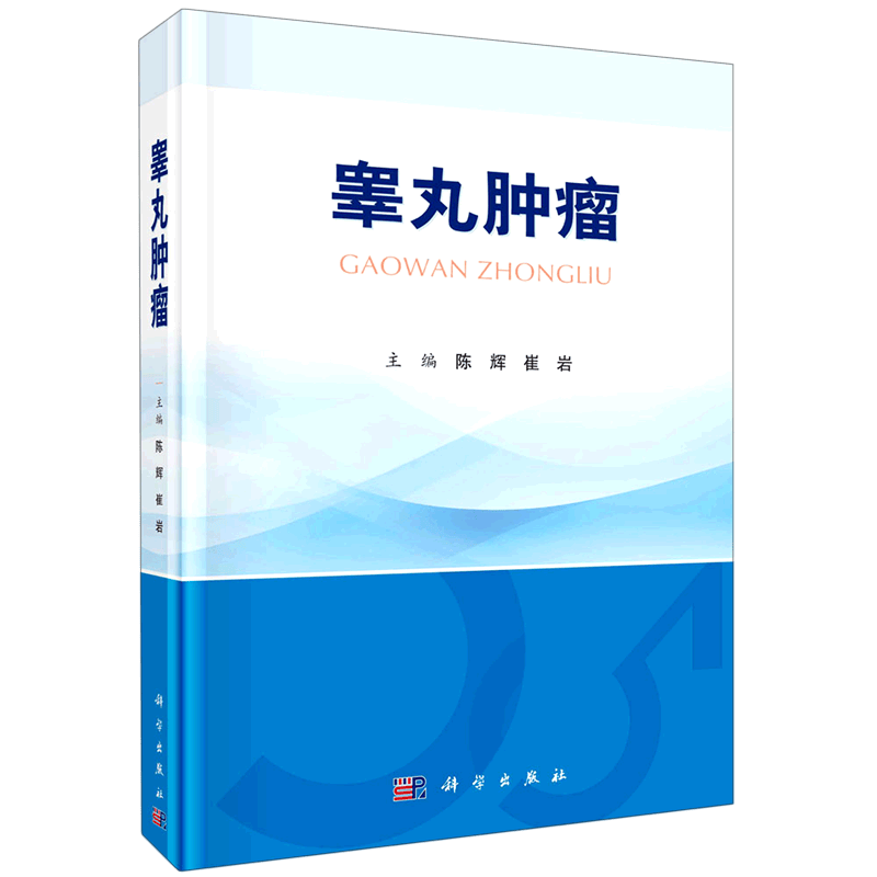 睾丸肿瘤(精)