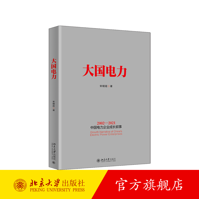 大国电力 2002—2021中国电力企业成长叙事，贯穿2002年电力企业改革元年和2021年第二个百年目标的起点 北京大学旗舰店