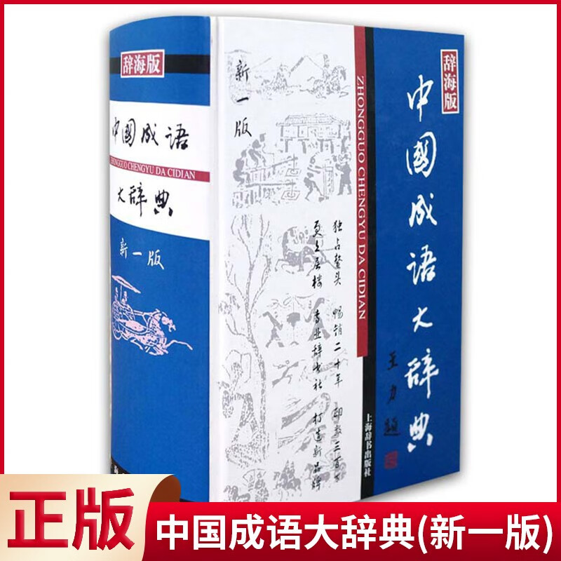 现货 中国成语大辞典(新一版)(汉语工具书大系) 中国成语词典 中 小学生适用 汉语词典书籍 王涛 中国文学鉴赏辞典书 上海辞书