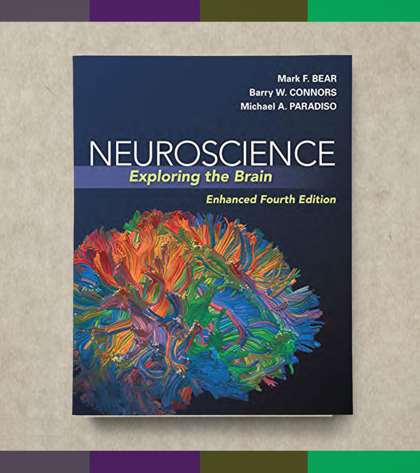 全彩现货/Neuroscience: Exploring the Brain 4th 彩色纸质书