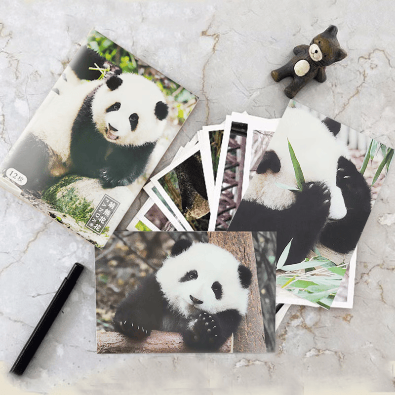 花花写真明信片一套12张可爱国宝成都熊猫基地旅游纪念品礼物文创 一套12张