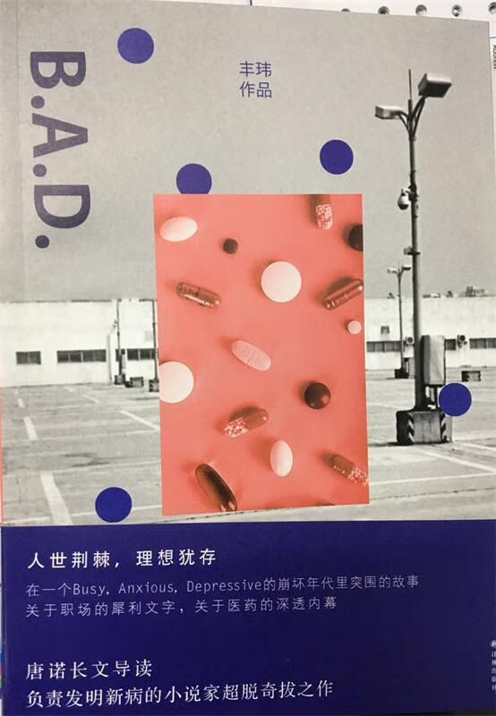 BAD 丰玮 译林出版社