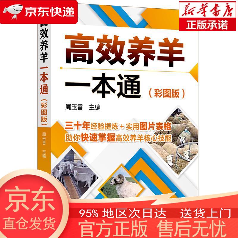 【全新速发】高效养羊一本通（彩图版） 周玉香 化学工业出版社