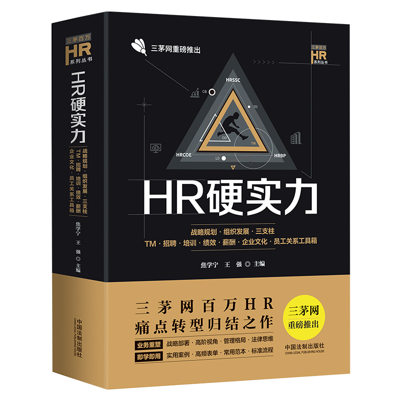 书 HR硬实力：战略规划·组织发展·三支柱·TM·招聘·培训·绩效·薪酬·企业文化·员工关系工具箱 人力资源管理类图书 HR硬实力