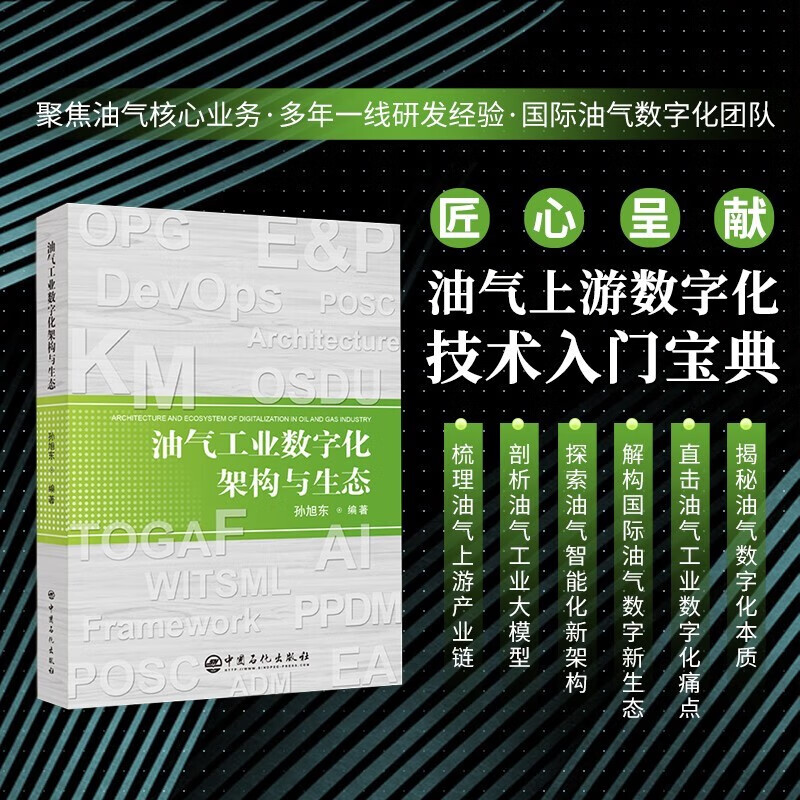 油气工业数字化架构与生态 孙旭东 中国石化出版社
