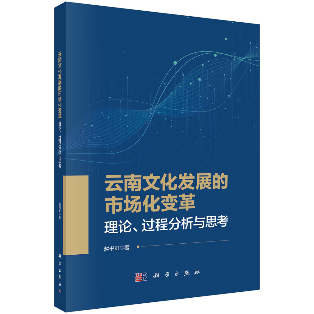 云南文化发展的市场化变革：理论、过程分析与思考