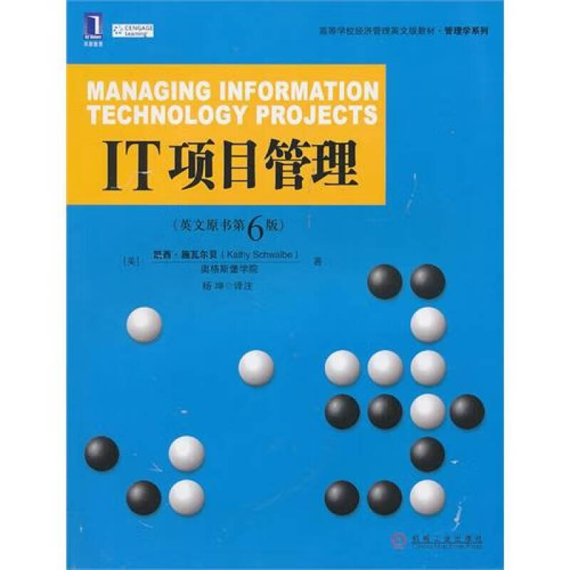 IT项目管理【好书】