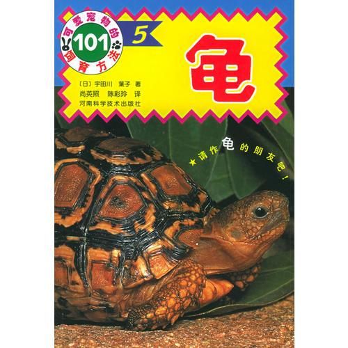 乱马卷七
