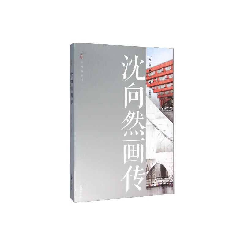 沈向然画传