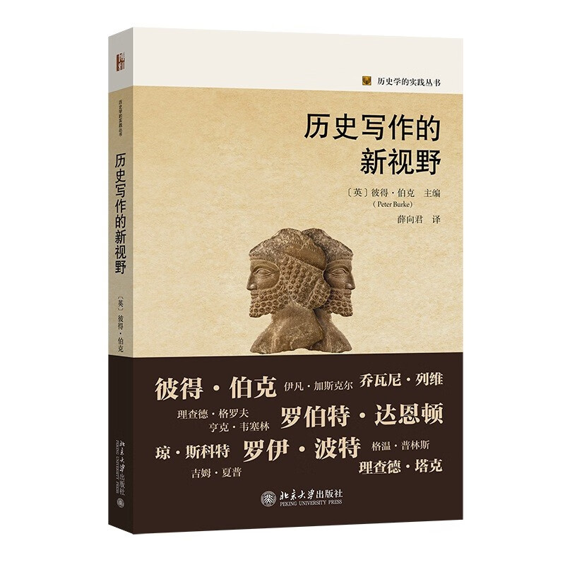 历史写作的新视野 历史学的实践丛书 剑桥大学历史学家教授彼得·伯克作品