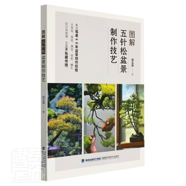 图解五针松盆景制作技艺刘立华家居9787533565589 松属盆景观赏园艺图解普通大众