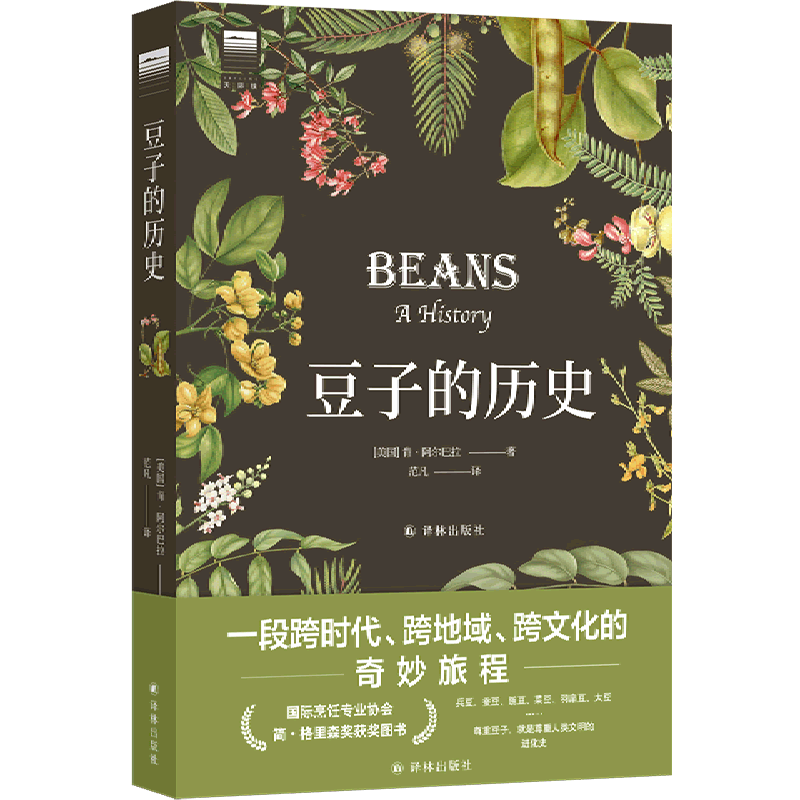 豆子的历史/天际线