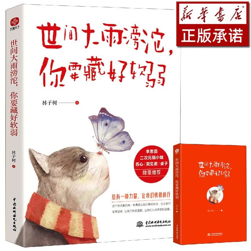 世间大雨滂沱你要藏好软弱