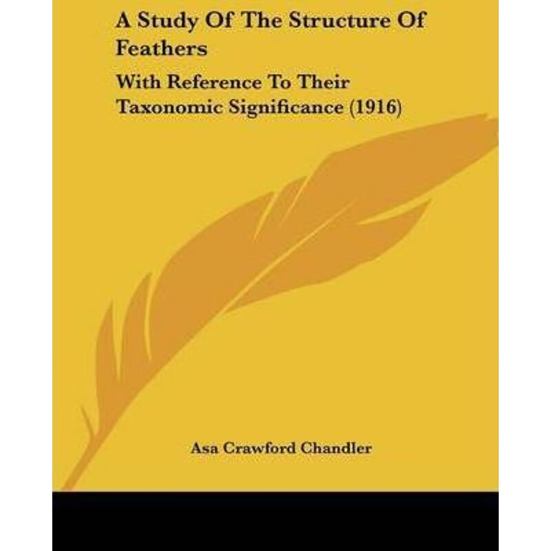 A Study Of The Structure Of Feathers