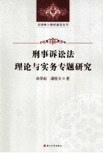 刑事诉讼法理论与实务专题研究