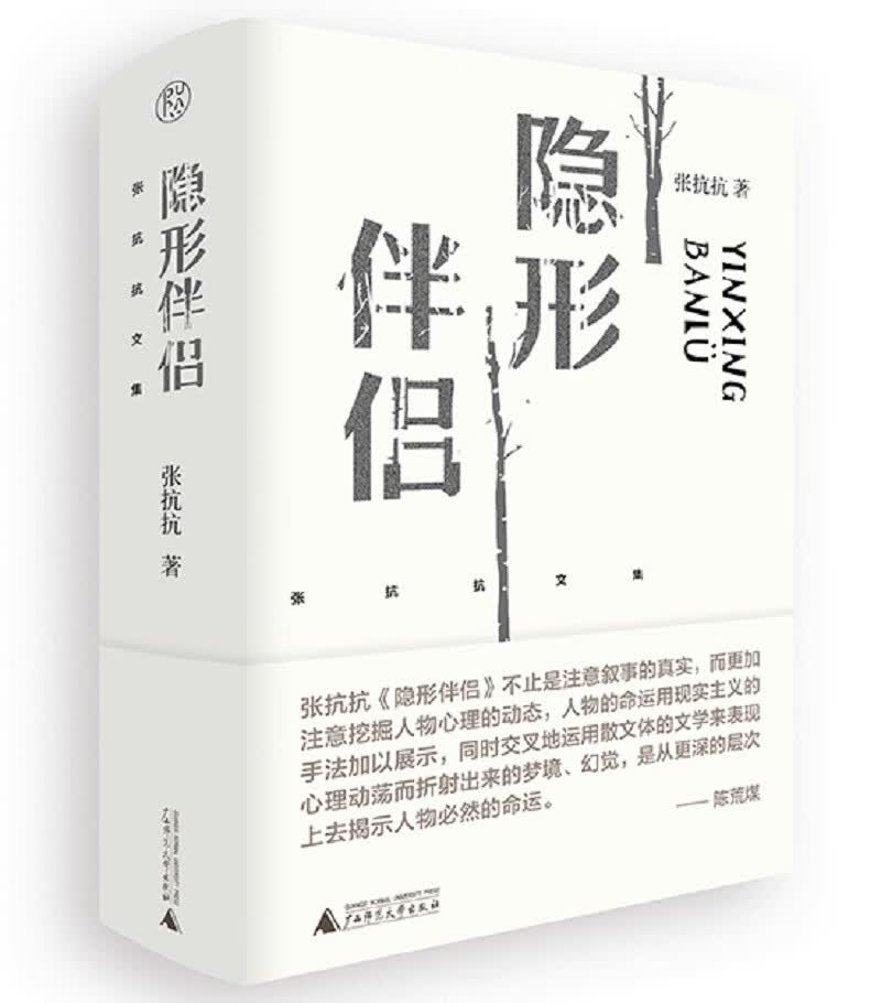 纯粹·隐形伴侣