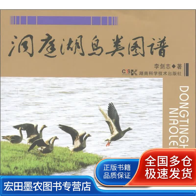 洞庭湖鸟类图谱【好书】