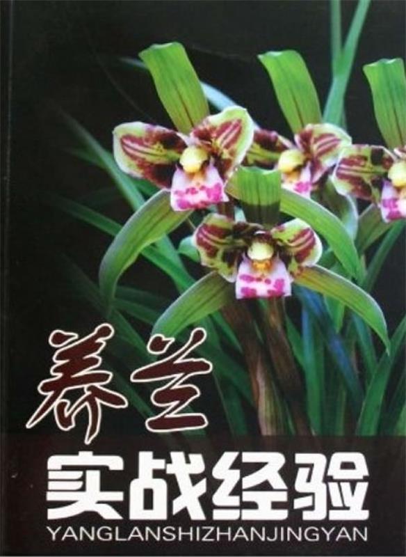 养兰实战经验