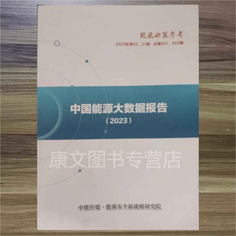 2023年新版 中国能源大数据报告2023非书籍闪发