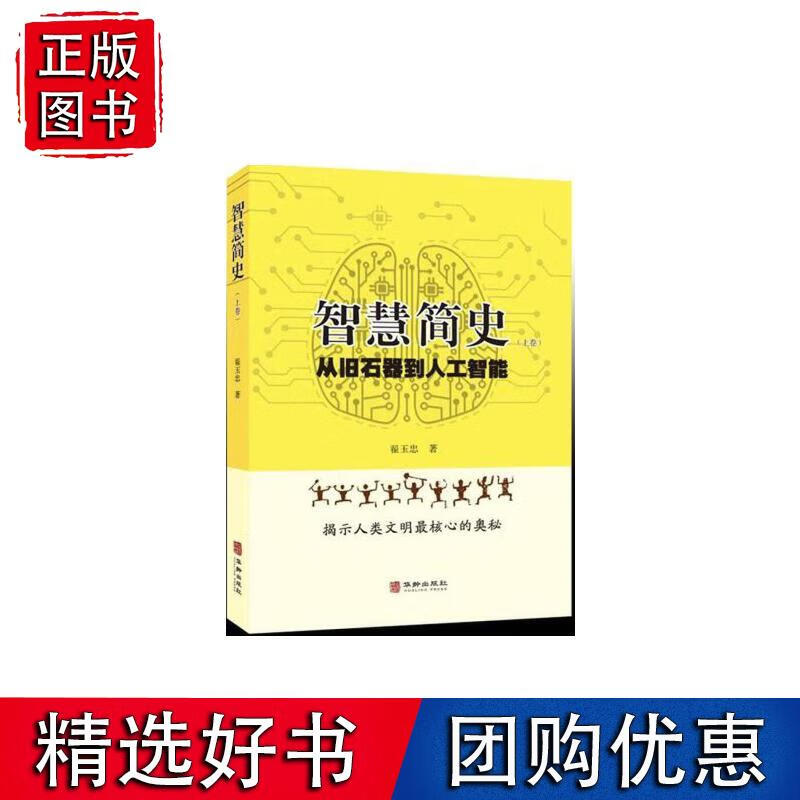 智慧简史
