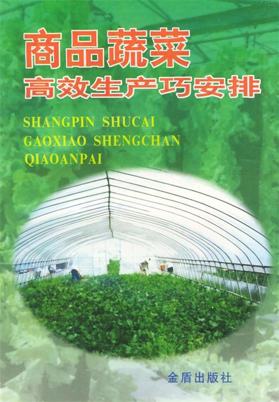 商品蔬菜高效生产巧安排