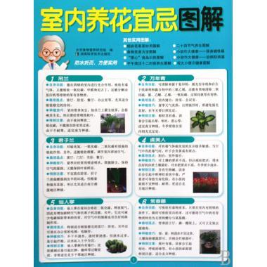 室内养花宜忌图解