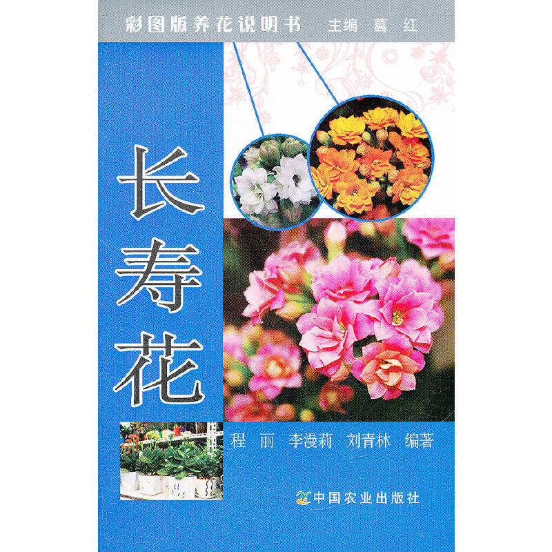长寿花(彩图版养花说明书)