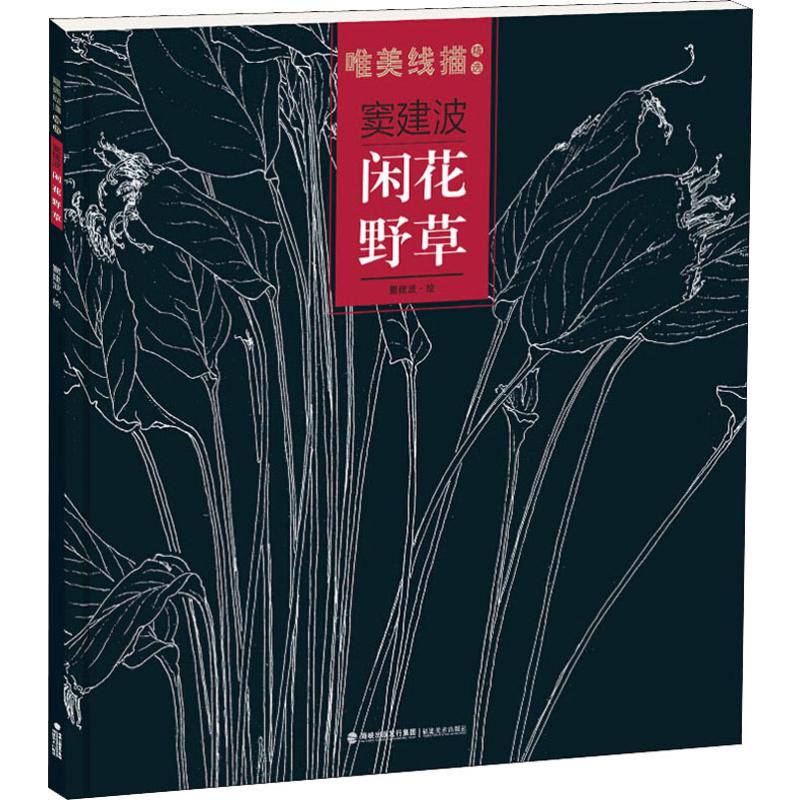 唯美线描精选 窦建波 闲花野草