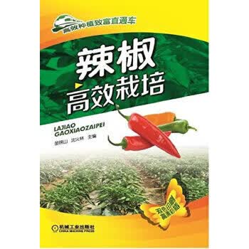 辣椒高效栽培