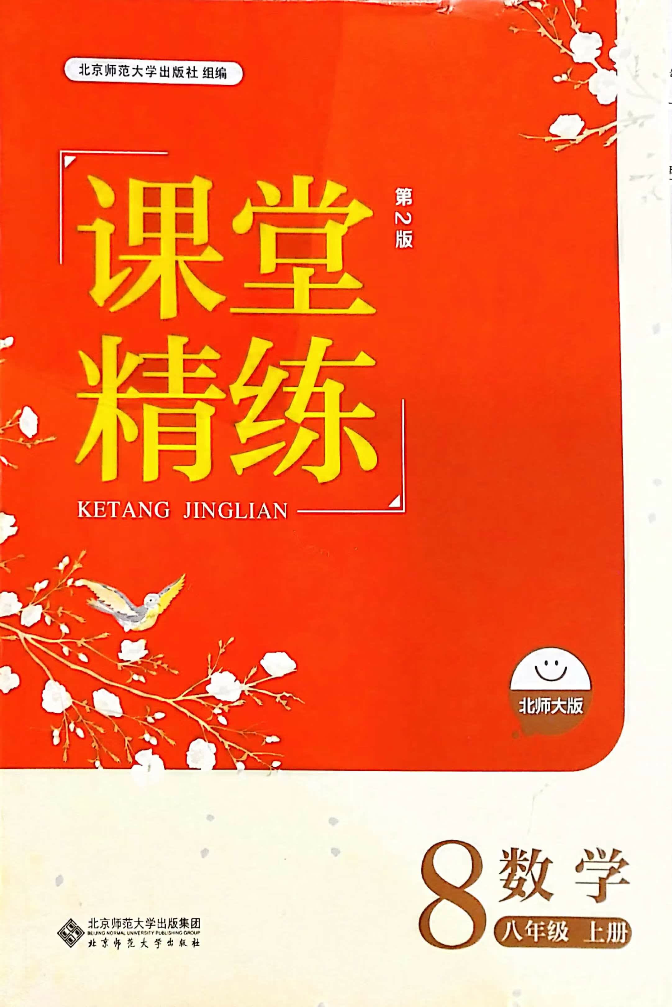北师大版数学课堂精练八年级上册第2版 上册第2版