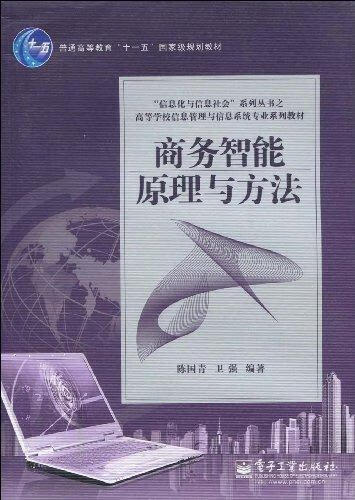 商务智能原理与方法 陈国青,卫强 著