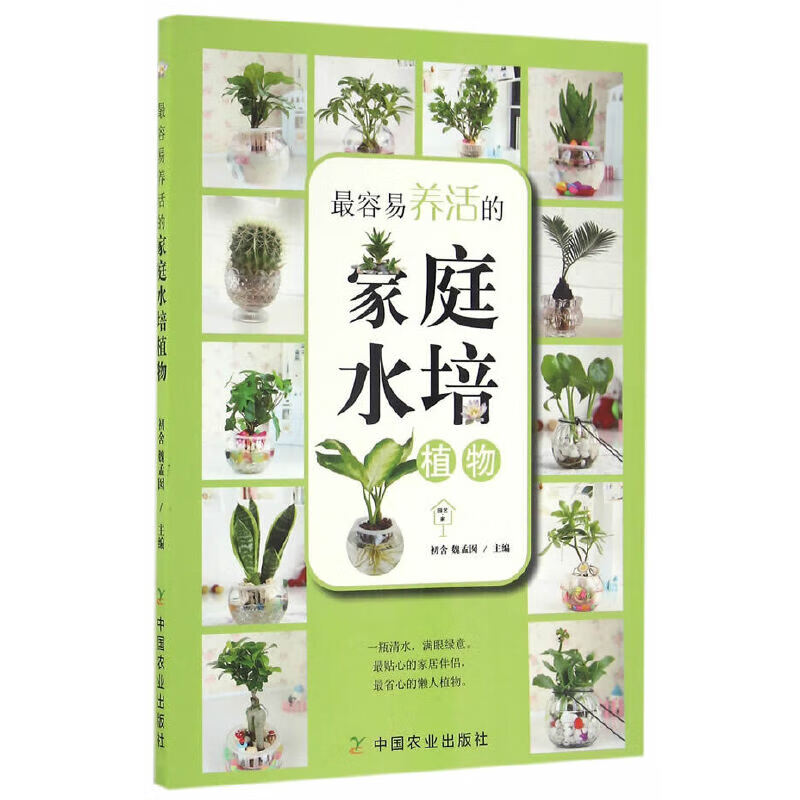养活的家庭水培植物（园艺·家）