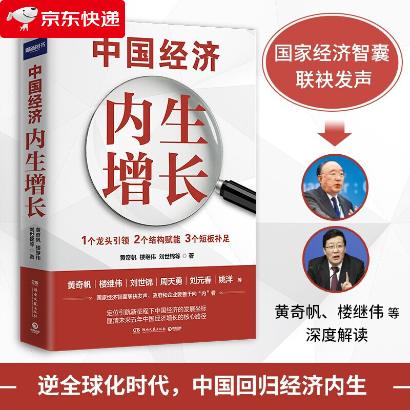 中国经济：内生增长