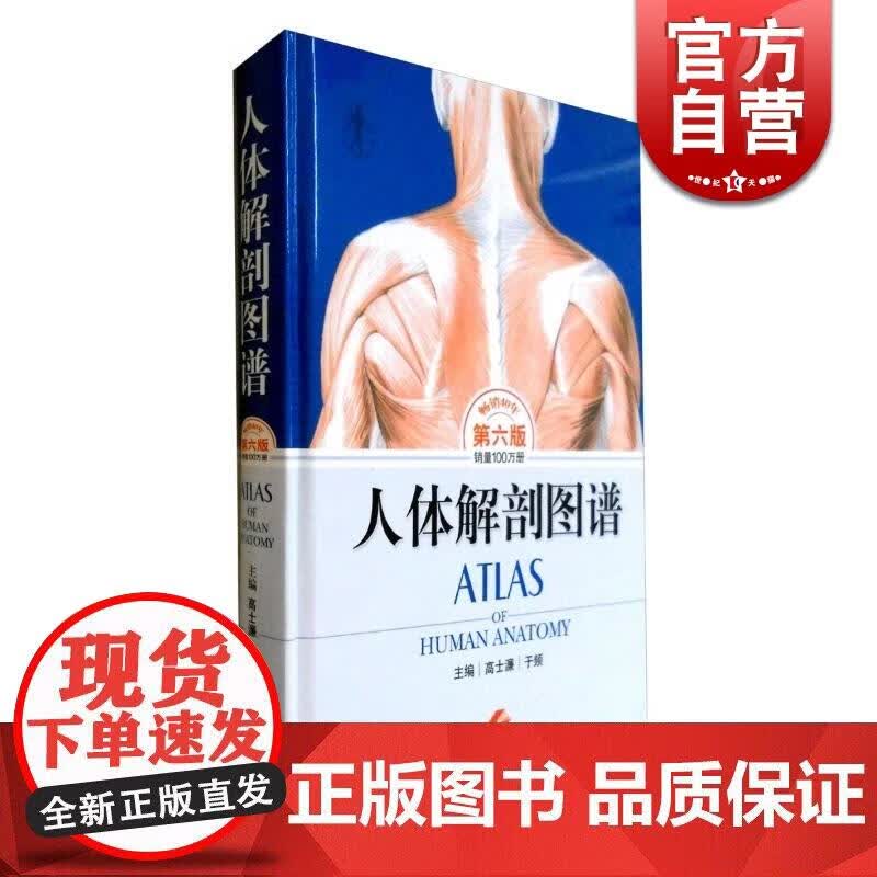 人体解剖图谱(第六版） [Atlas of Human Anatomy] 高士濂 于频 编 医学本科