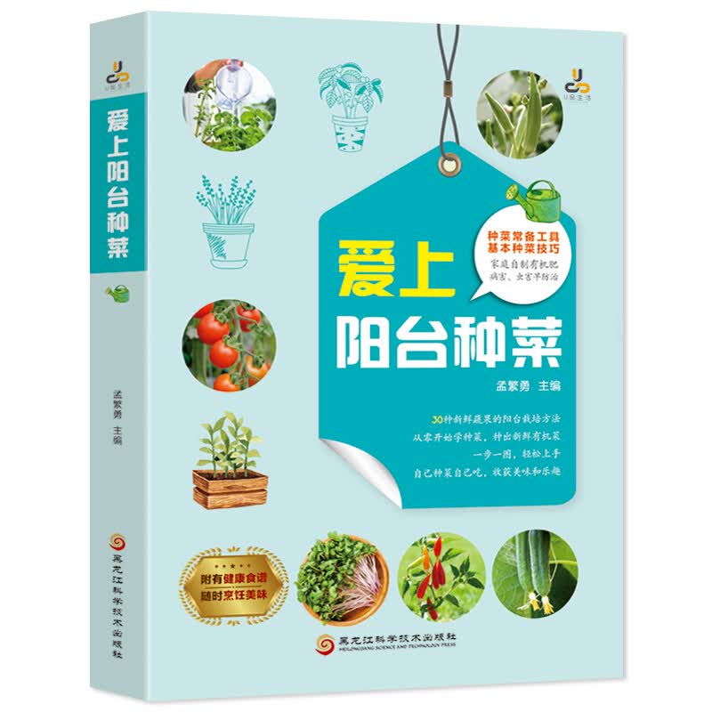 爱上阳台种菜