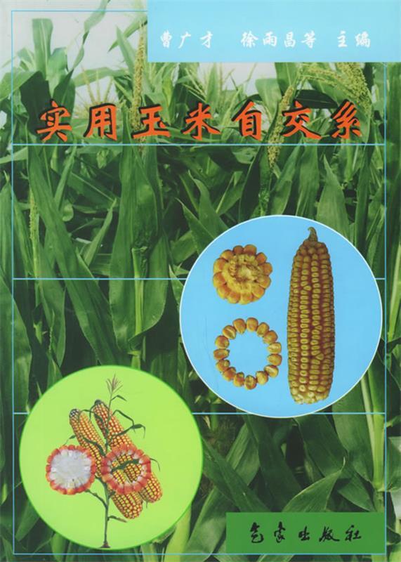 速发》实用玉米自交系气象出版社9787502928520