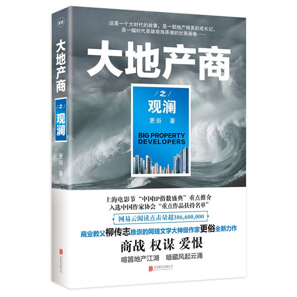 大地产商之观澜 更俗