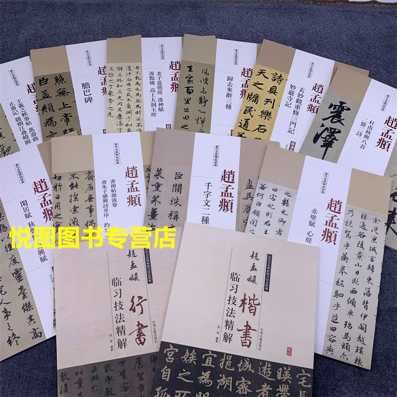 赵孟俯頫书法全集12册 历代名家碑帖经典赵体楷书行草书字帖道德经金刚经千字文三门记妙严寺记胆巴碑赤壁赋洛神赋闲居赋归去来辞三种王羲之佚事帖万寿曲止斋记题烟江叠嶂图赵孟頫楷书行书临习技法精解