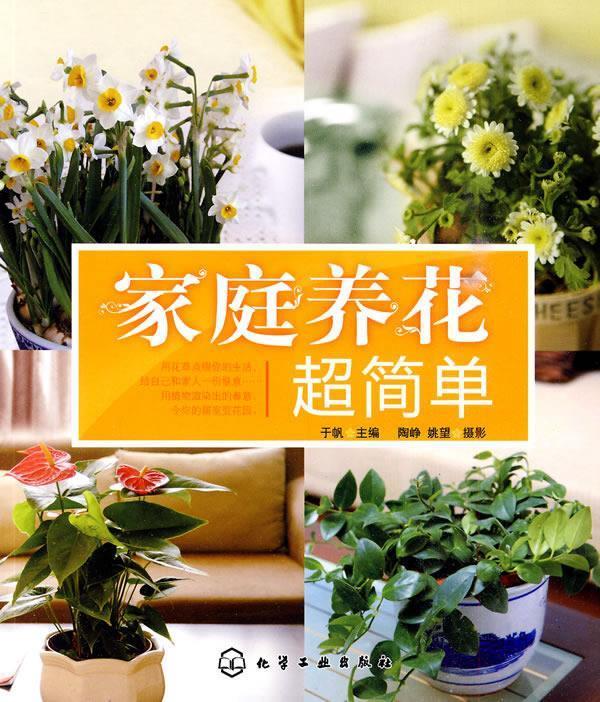 家庭养花超简单