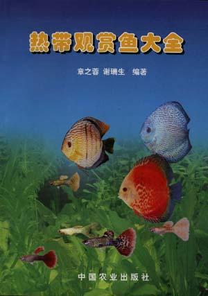 热带观赏鱼大全【特惠】